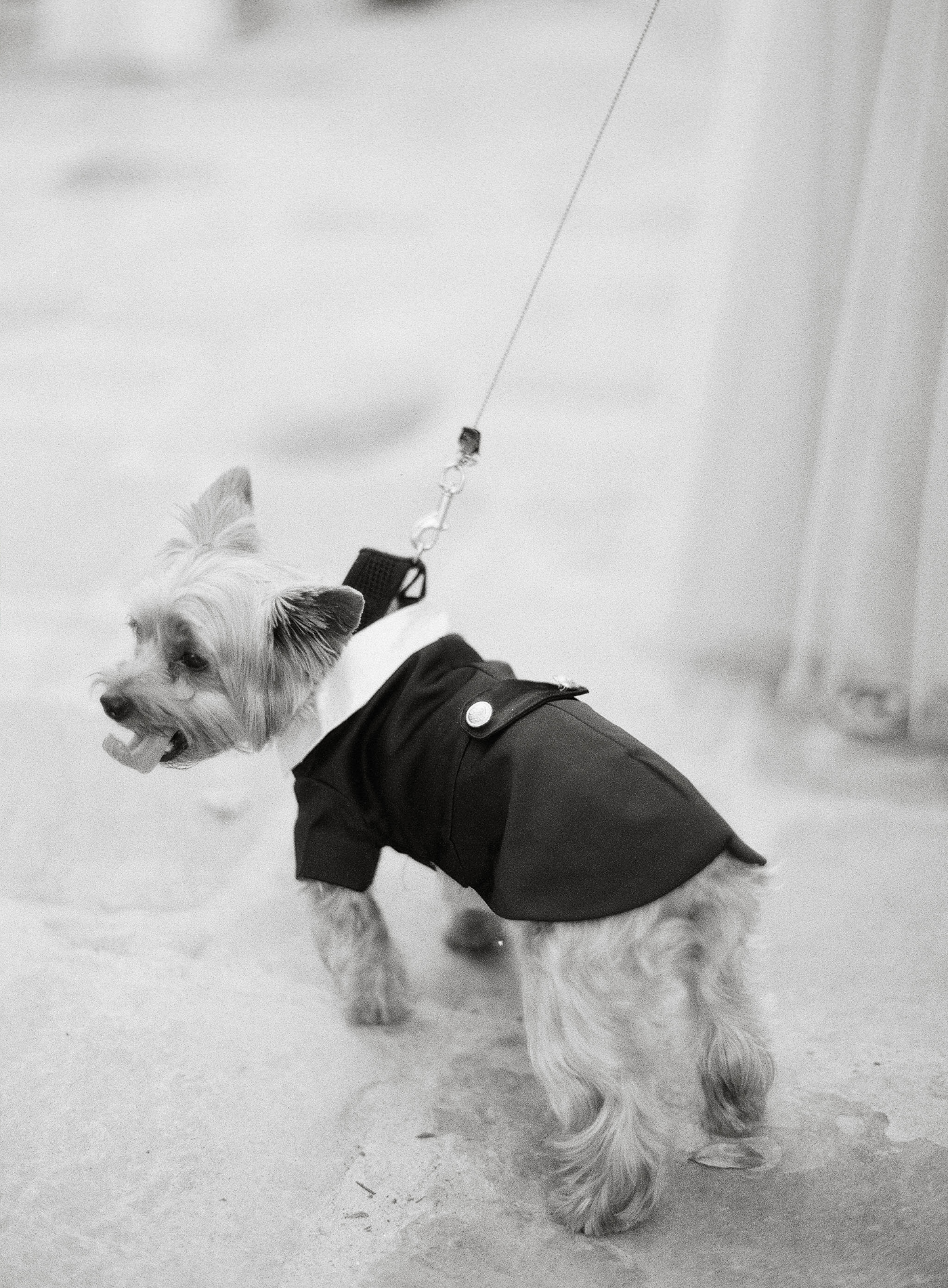 Kristine & Nick |The Villa San Juan Capistrano » Chiali Meng ...